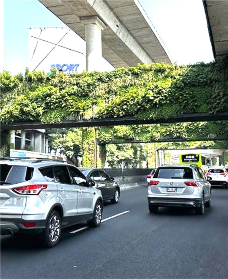 GREEN ROAD INFRASTRUCTURE – VIAVERDE WORLD