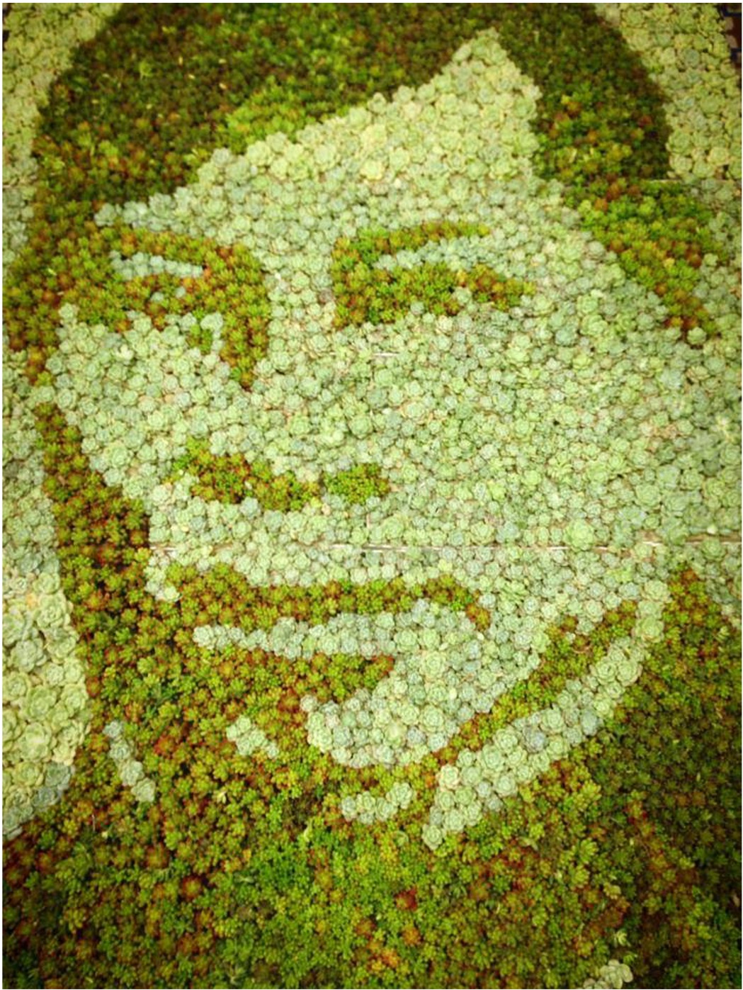 GREEN STREET FURNITURE – VIAVERDE WORLD